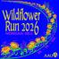 Wildflower Run – Raising Money for Scholarships for Women and Girls